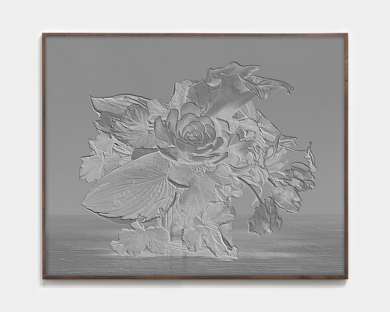 M+B : Jessica Eaton : Mariphasa lupina lumina - The Eye of Photography ...