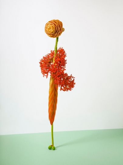 AnzenbergerGallery : The Secret Service of Flowers : Natalie Strohmaier ...