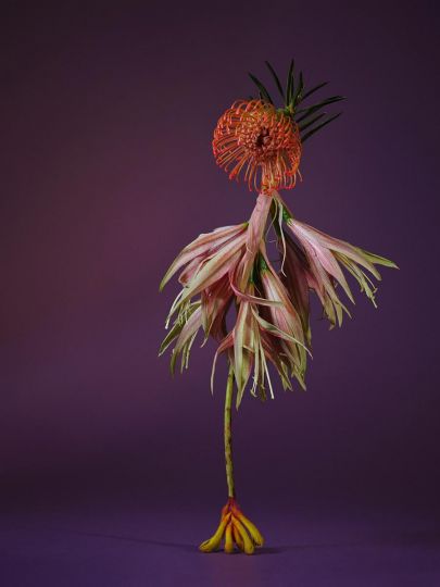 AnzenbergerGallery : The Secret Service of Flowers : Natalie Strohmaier ...