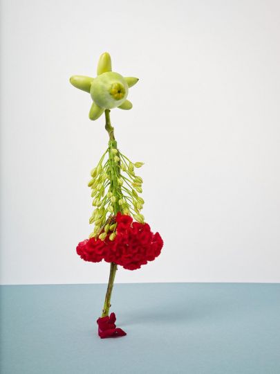 AnzenbergerGallery : The Secret Service of Flowers : Natalie Strohmaier ...