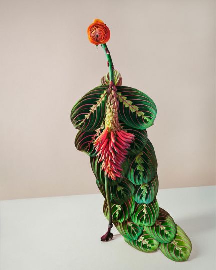AnzenbergerGallery : The Secret Service of Flowers : Natalie Strohmaier ...