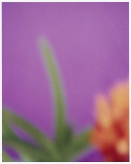 International Center of Photography : David Seidner : Fragments, 1977 ...