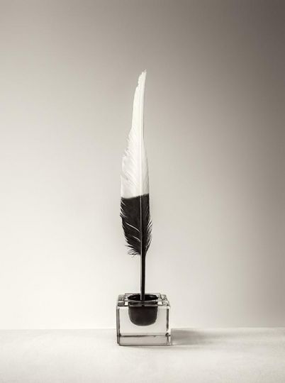 Galerie Esther Woerdehoff : Chema Madoz : Recent works - The Eye of ...