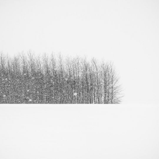 Galerie Camera Obscura : Jeffrey Conley : Reverence - The Eye of ...