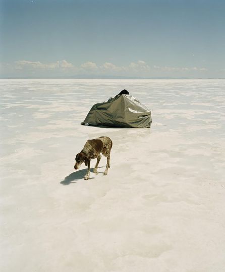 Aurélie’s Gallery : Dena & Jimmy Katz : Salt Dreams - The Eye of ...