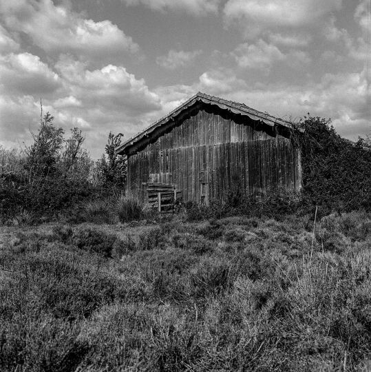 Promenades Photographiques de Marseille & Artplexe : Romain Boutillier ...