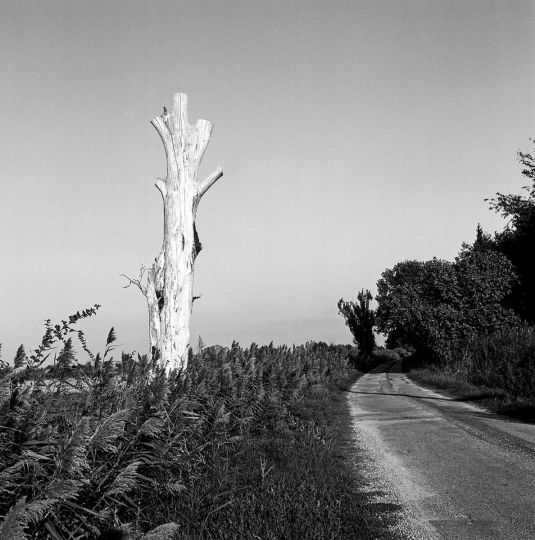 Promenades Photographiques de Marseille & Artplexe : Romain Boutillier ...