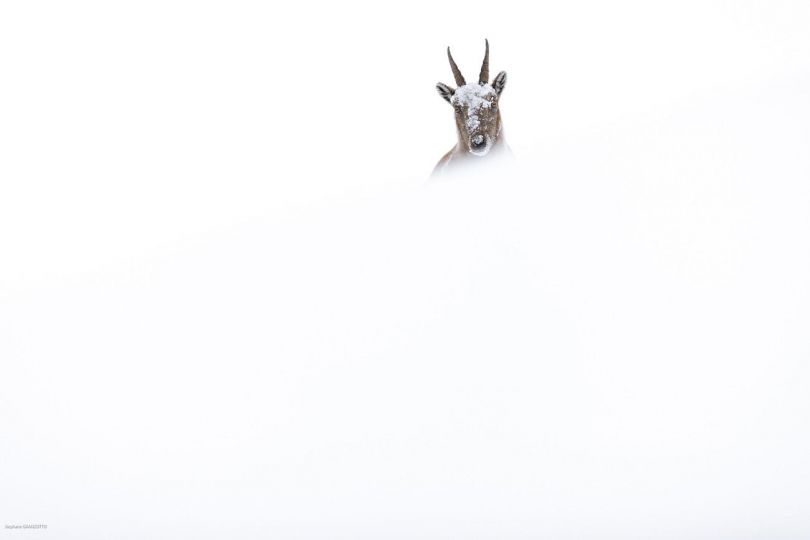 The Questionnaire : Stéphane Granzotto by Carole Schmitz - The Eye of ...