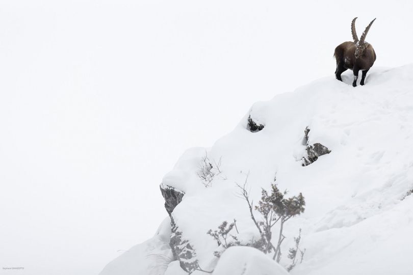 The Questionnaire : Stéphane Granzotto by Carole Schmitz - The Eye of ...