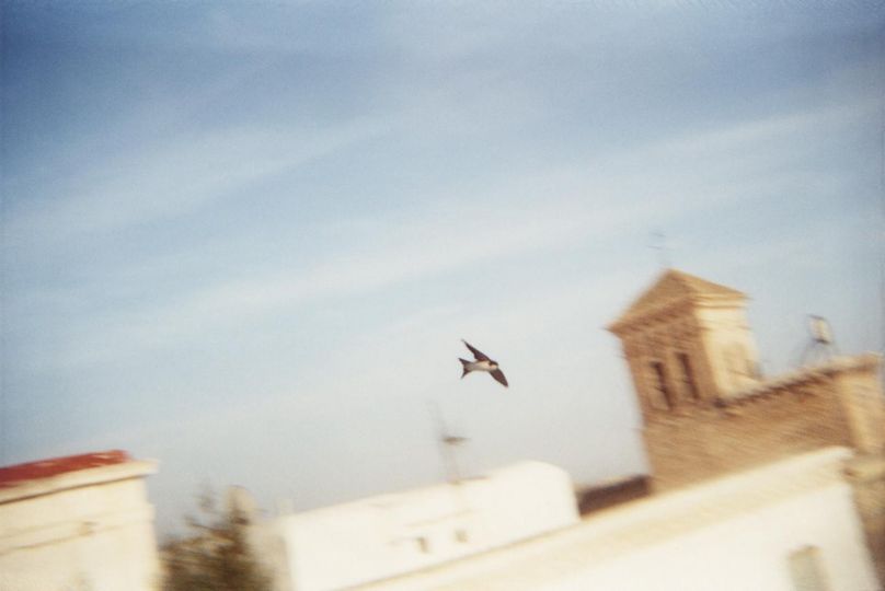 Arles 2024 : Lamaindonne : Bernard Plossu : Mucho amor - The Eye of ...