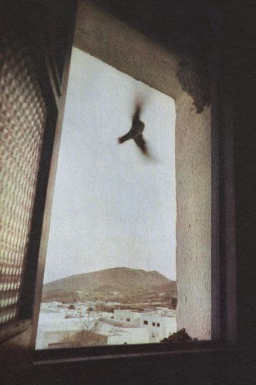 Arles 2024 : Lamaindonne : Bernard Plossu : Mucho amor - The Eye of ...