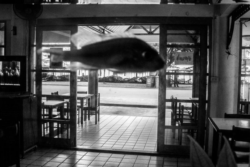 Paul Lukin - The Eye of Photography Magazine
