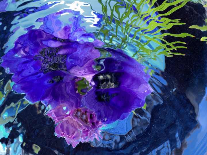 Anna Halm Schudel - The Eye of Photography Magazine