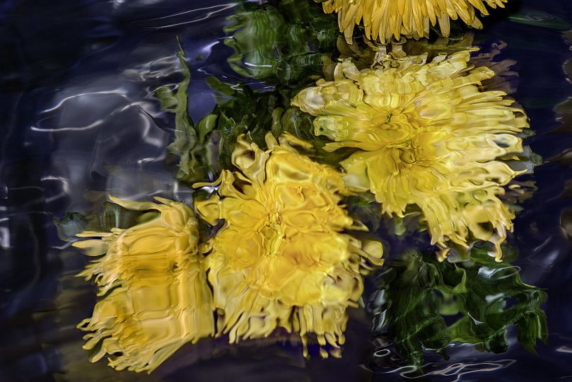 Anna Halm Schudel - The Eye of Photography Magazine