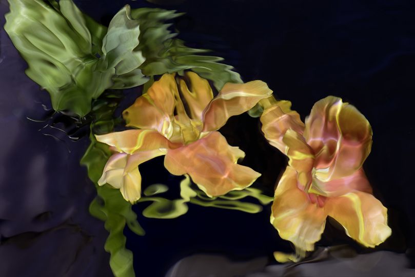 Anna Halm Schudel - The Eye of Photography Magazine