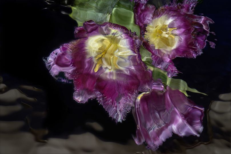 Anna Halm Schudel - The Eye of Photography Magazine