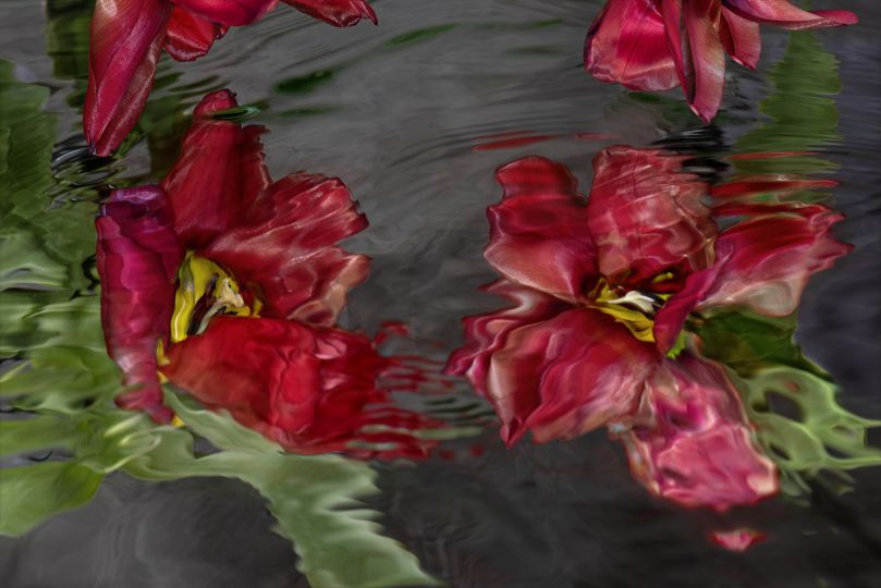 Anna Halm Schudel - The Eye of Photography Magazine