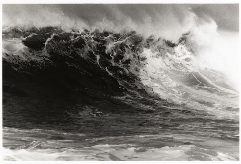 Joseph Bellows Gallery : Anthony Friedkin : Stay Cool! - The Eye of ...