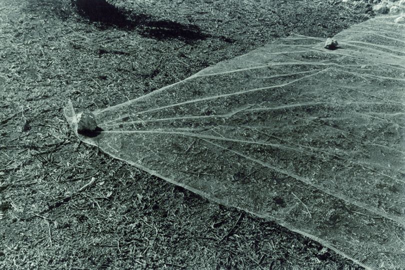 Pasquale Biasco - The Eye of Photography Magazine