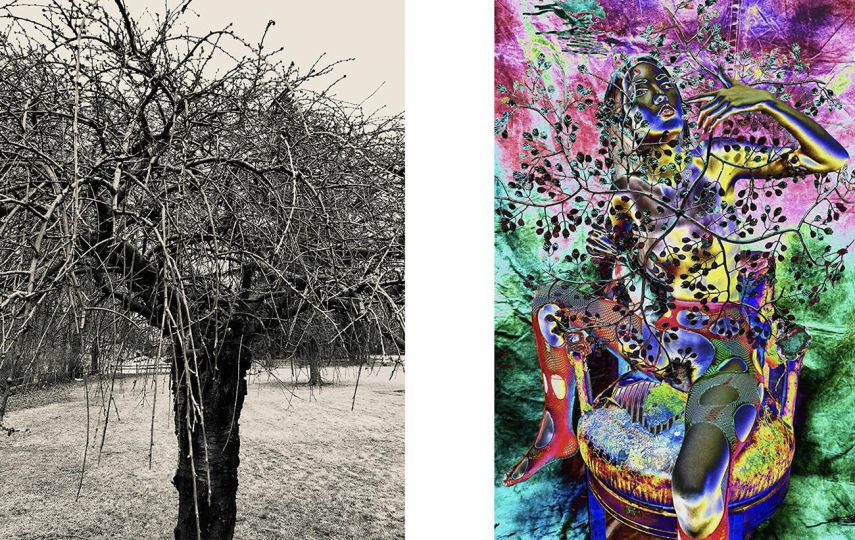 Abe Frajndlich : Conundrum - The Eye of Photography Magazine