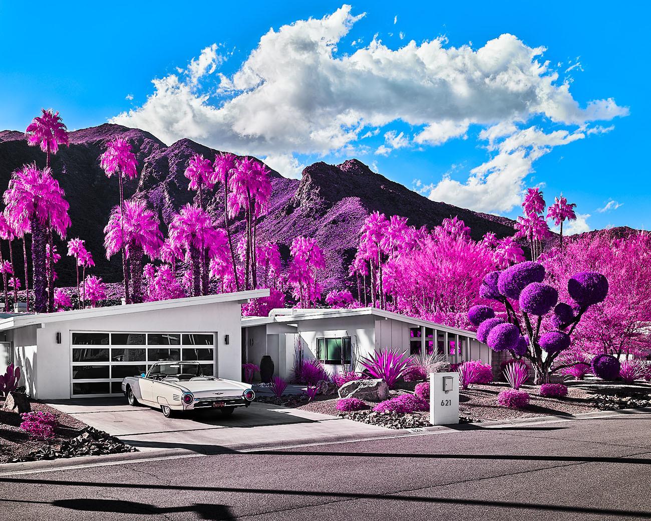 Von Lintel Gallery : Osceola Refetoff : Multispectral - The Eye of ...