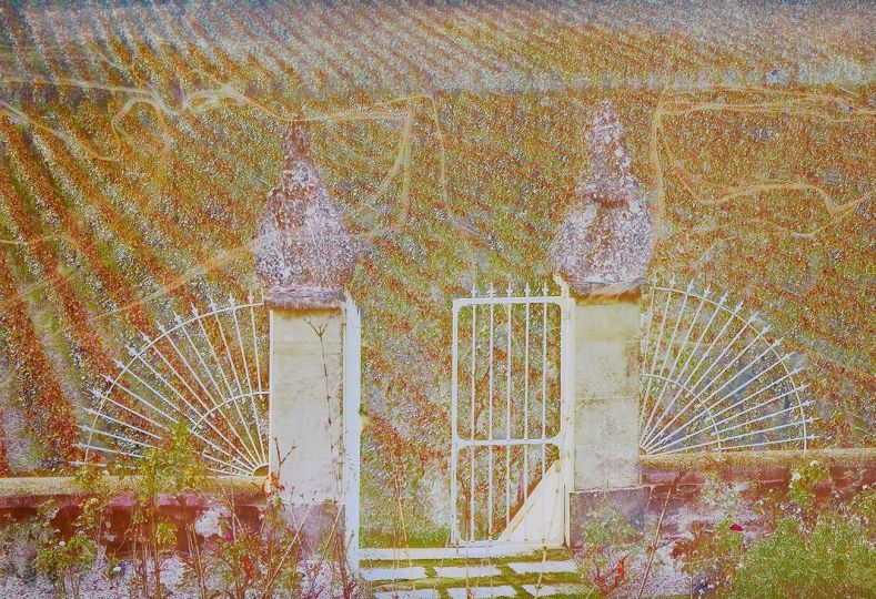 Musée Nicéphore Niépce : Domaine Prosper Maufoux : Jean-Vincent Simonet ...