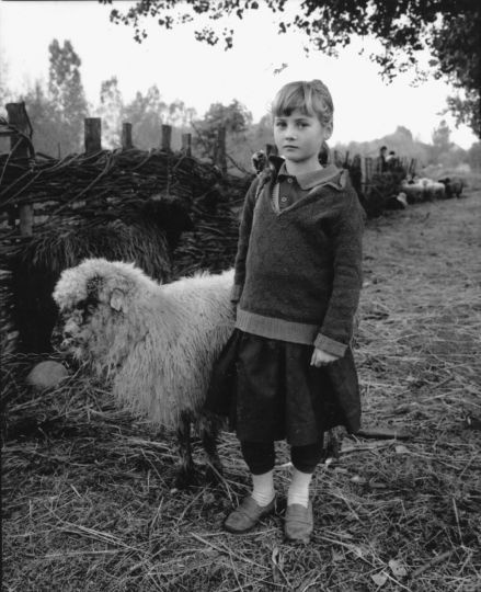 John Doe Books : Robert Levy : Photos 1970-2020 - The Eye of ...