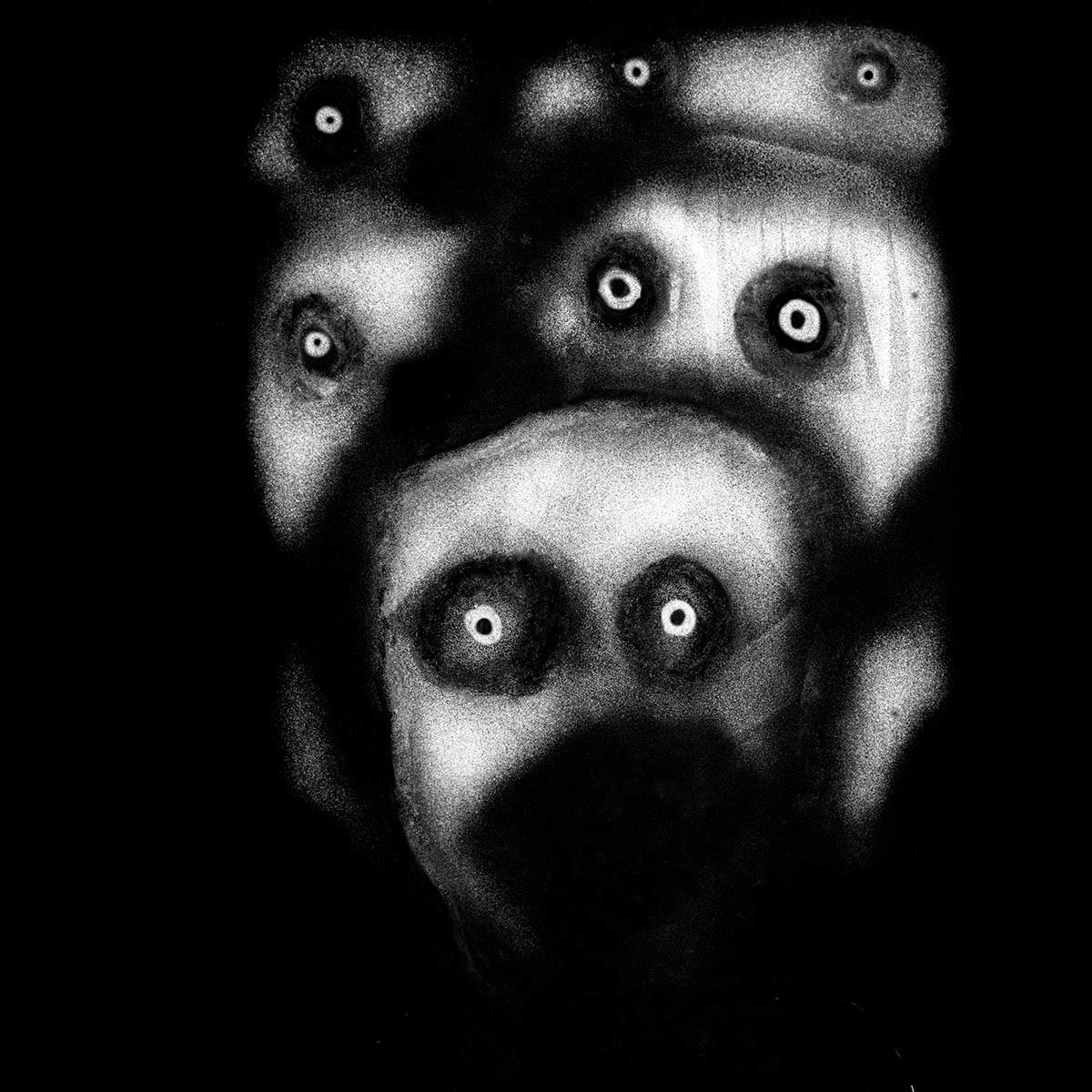 Postcart : Roger Ballen : Dante Alighieri – Inferno - L'Œil de la ...