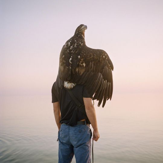 Little Big Galerie : Patrick Wack : Azov Horizons - The Eye of ...