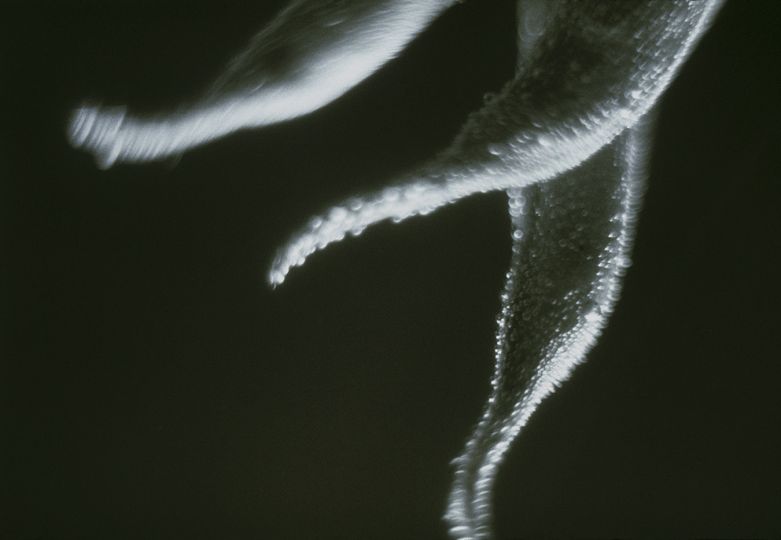 Helen Rousakis - L'Œil de la Photographie Magazine