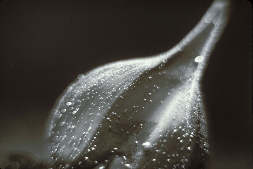 Helen Rousakis - L'Œil de la Photographie Magazine