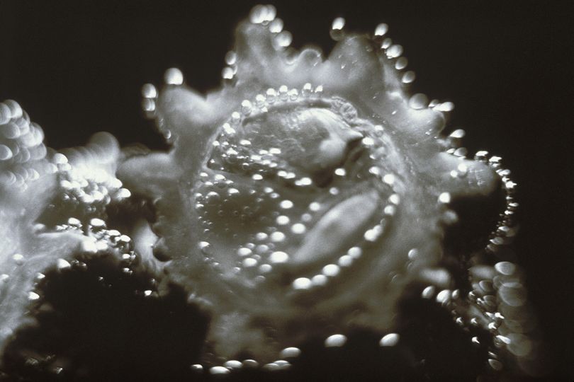 Helen Rousakis - L'Œil de la Photographie Magazine