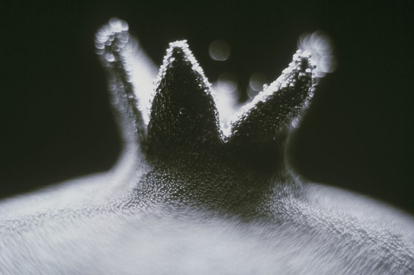 Helen Rousakis - L'Œil de la Photographie Magazine
